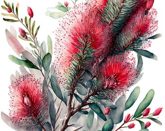 Wattle Australian Native Tree Flower Watercolour Painting Digital ...