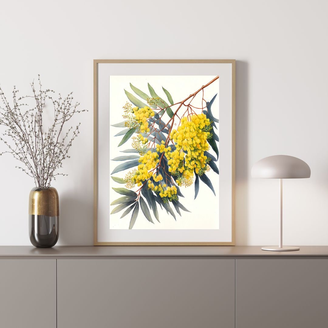 Wattle Australian Native Tree Flower Watercolour Painting 4 Digital ...
