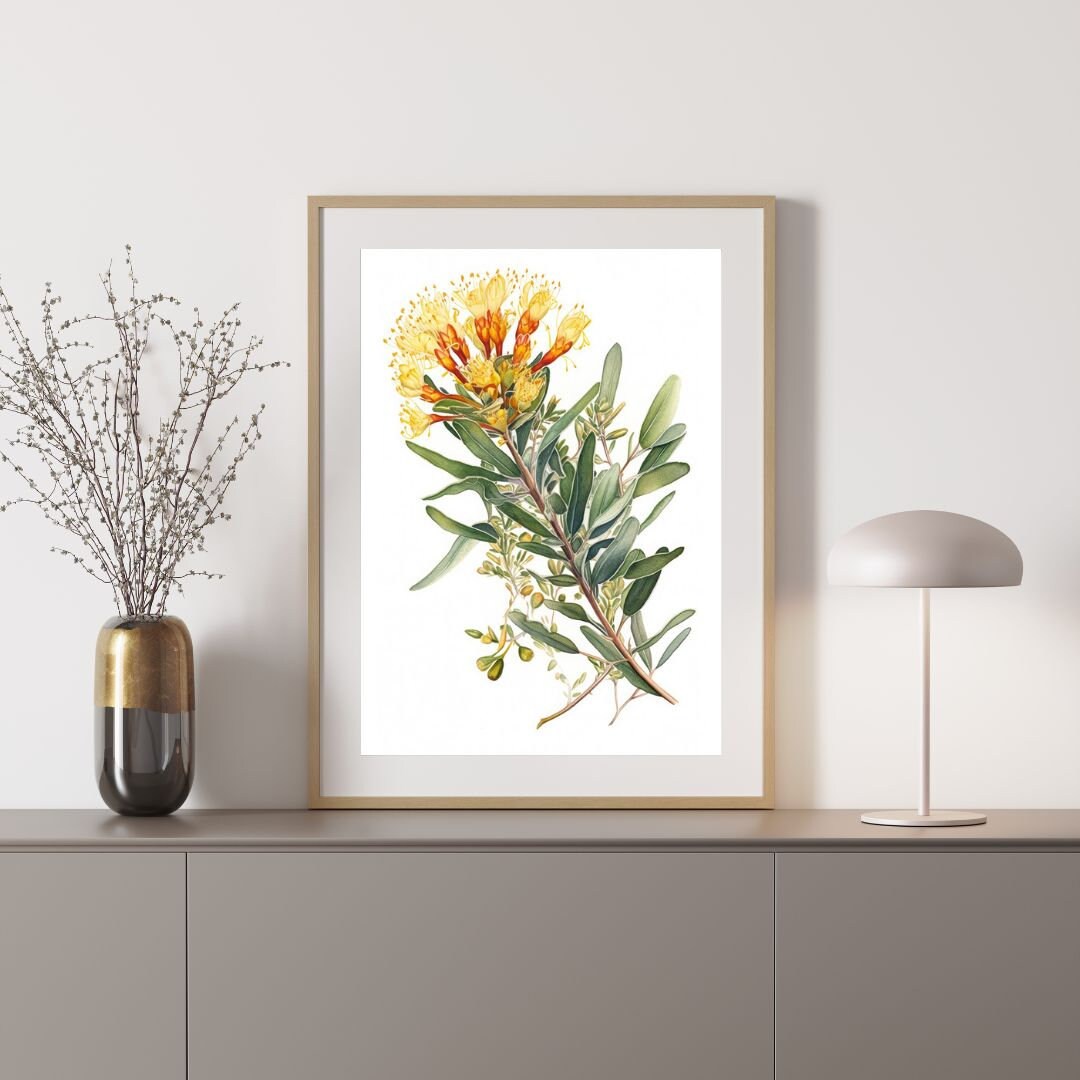 Geraldton Wax 6 Australian Native Tree Flower Watercolour Painting ...