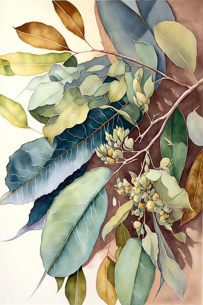 Eucalyptus Australian Native Tree Flower Watercolour Painting 6 Digital ...