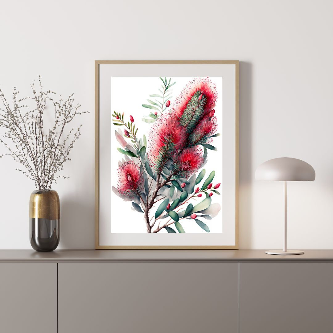 Bottle Brush Australian Native Tree Flower Watercolour Painting Digital ...