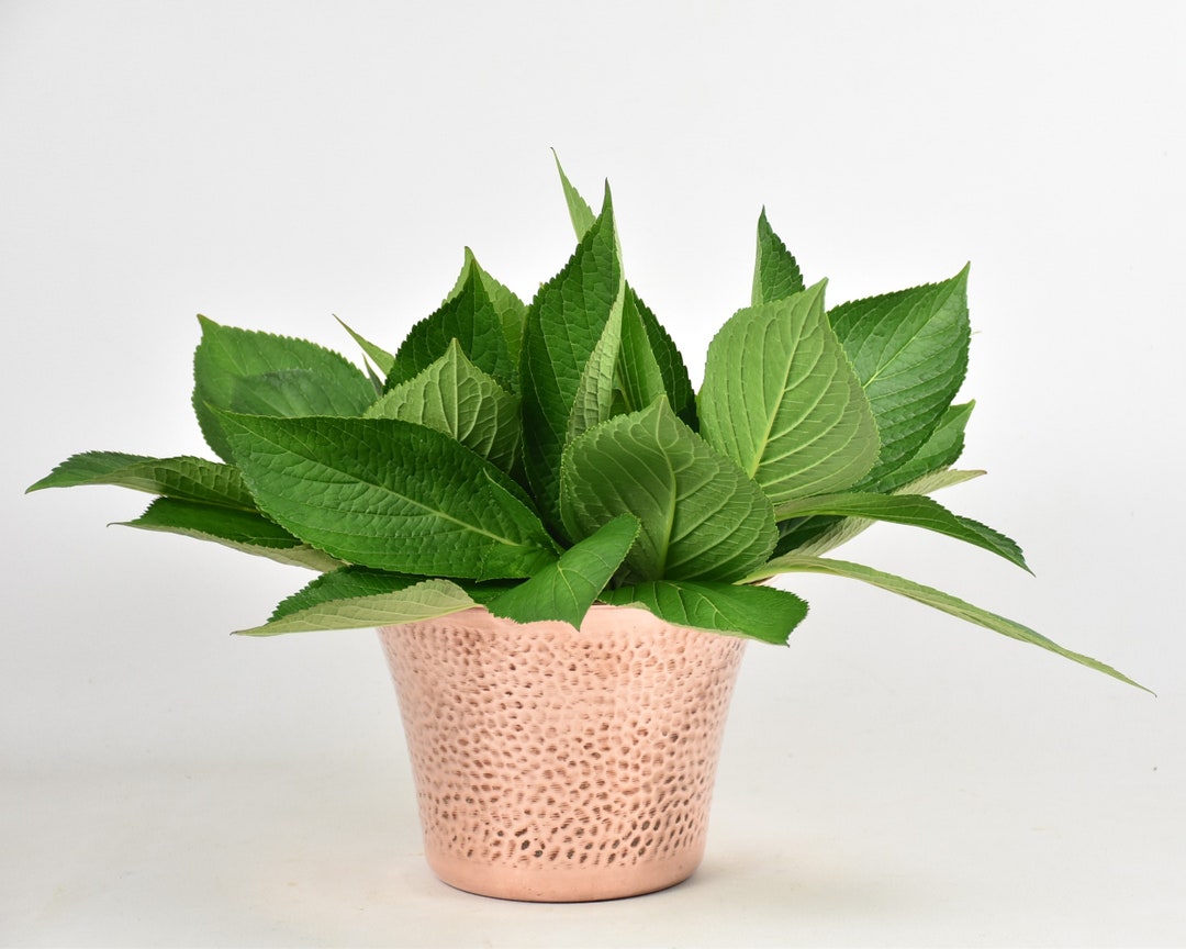 Vintage Copper Cachepot - Mid Century Industrial Plant Pot ...