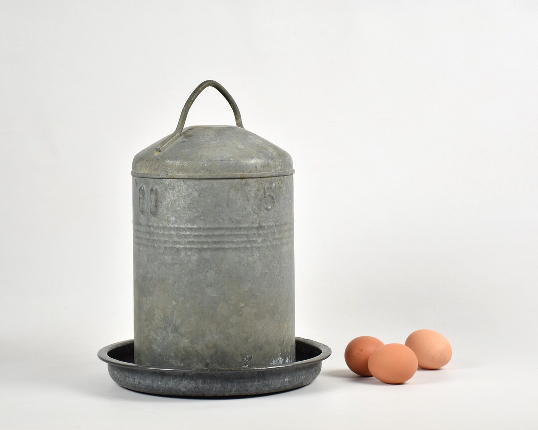 Galvanized Chicken Waterer for Outdoor Succulent Planter and Farmhouse ...