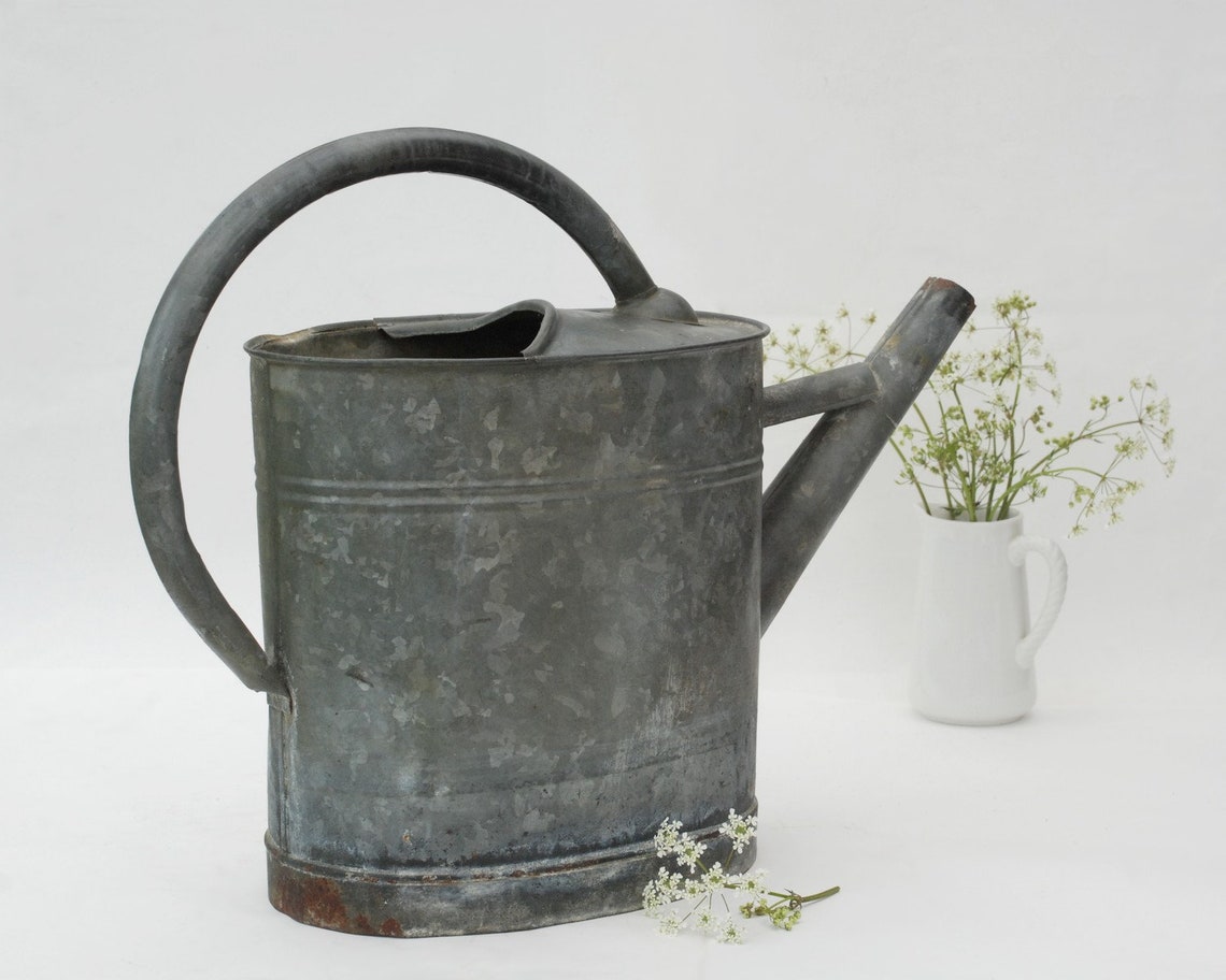 Vintage Galvanized Watering Can : Rustic Farmhouse Garden Decor - Etsy
