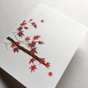 Japanese Maple Boxed Note Cards - Etsy