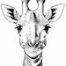 Safari Wonders Wildlife Coloring Pages and Use for Art Prints - Etsy
