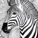 Safari Wonders Wildlife Coloring Pages and Use for Art Prints - Etsy