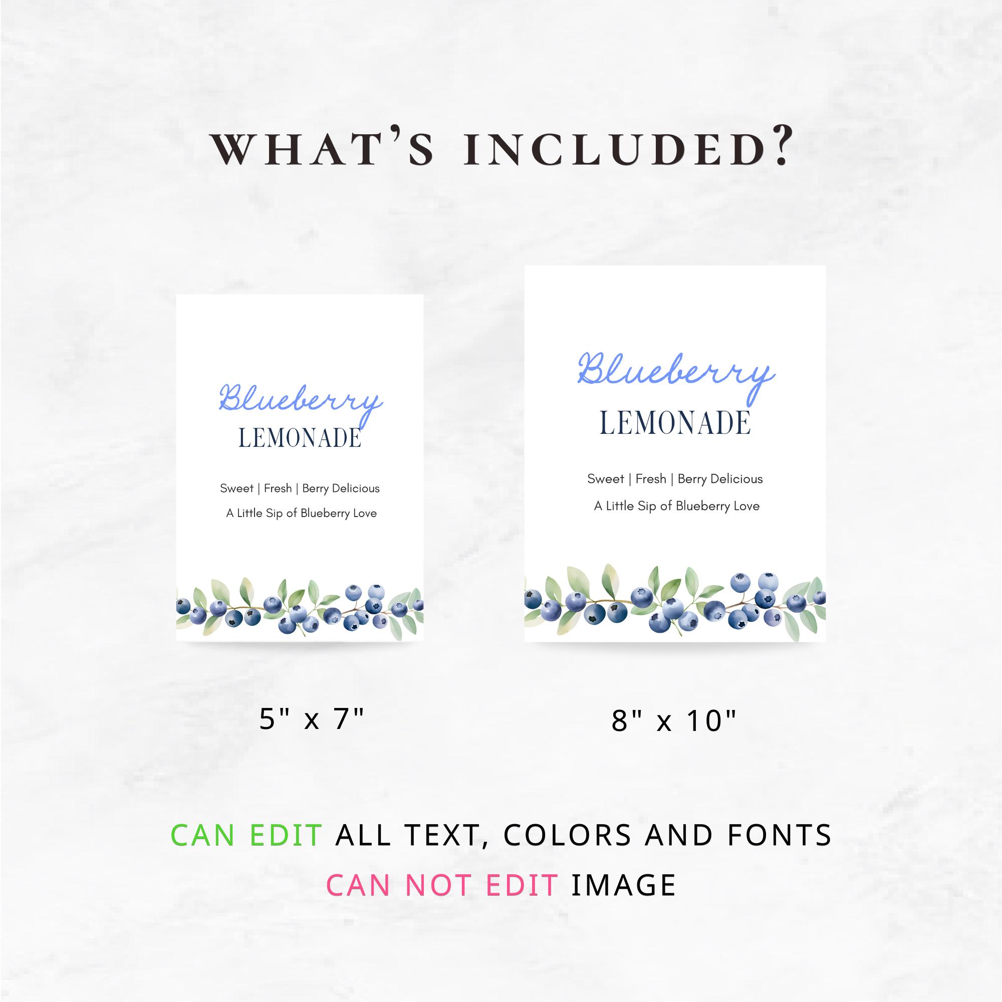 Blueberry Lemonade Bar Sign, Printable Baby Shower Drink Sign, Berry ...