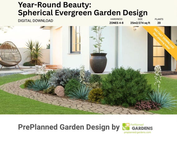Evergreen Garden Plans 7 Evergreens For Every Garden!