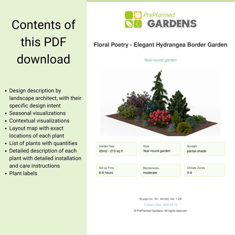 Elegant Hydrangea & Cypress Border Garden Blueprint | Year-round ...
