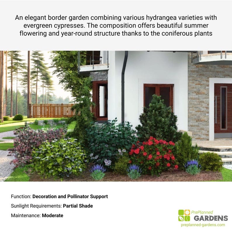 Elegant Hydrangea & Cypress Border Garden Blueprint | Year-round ...