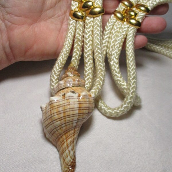 Seashell Belt - Etsy
