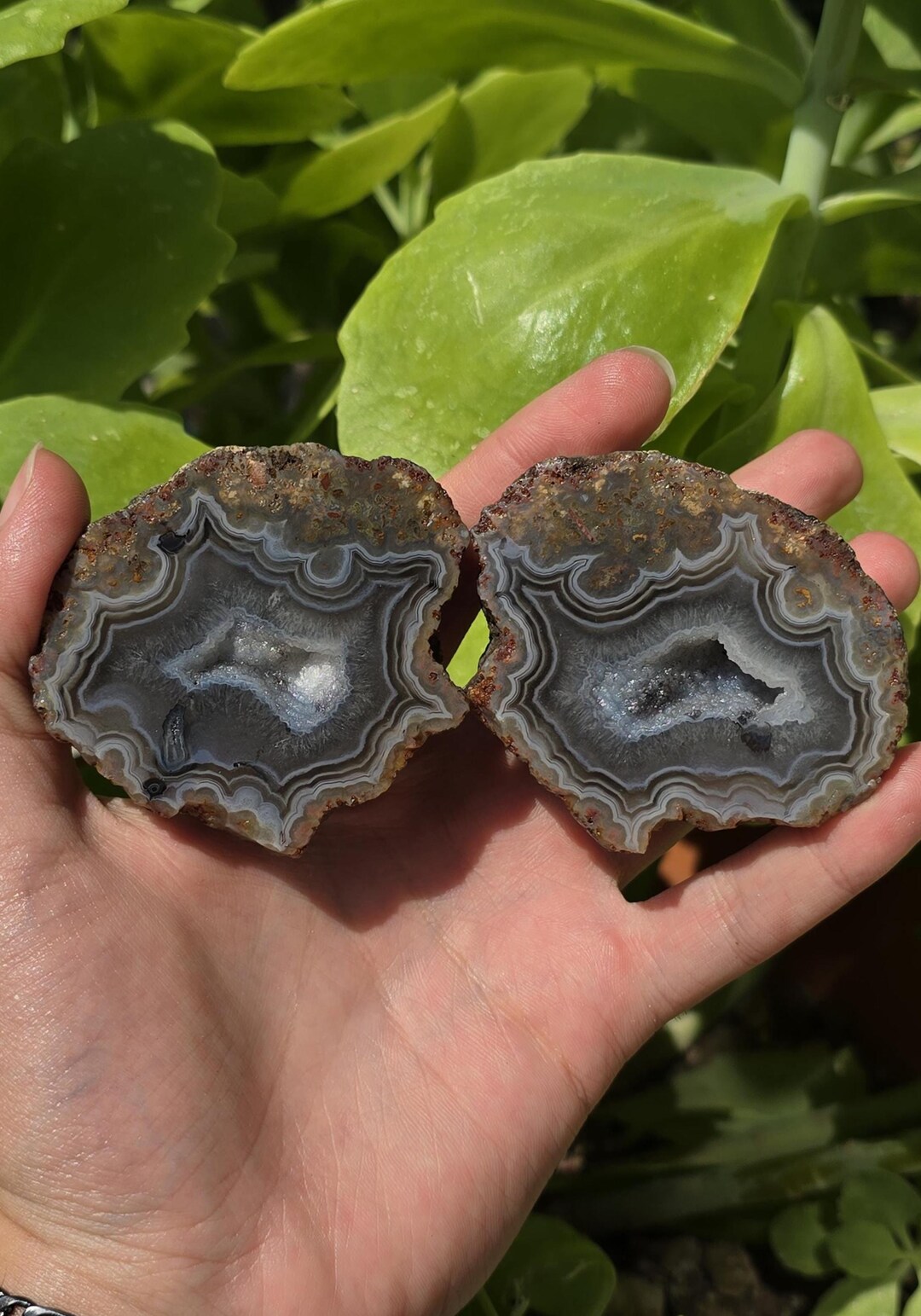 Blue Banded and Mini Geode Agate, Cut and Polished Turkish Agate ...