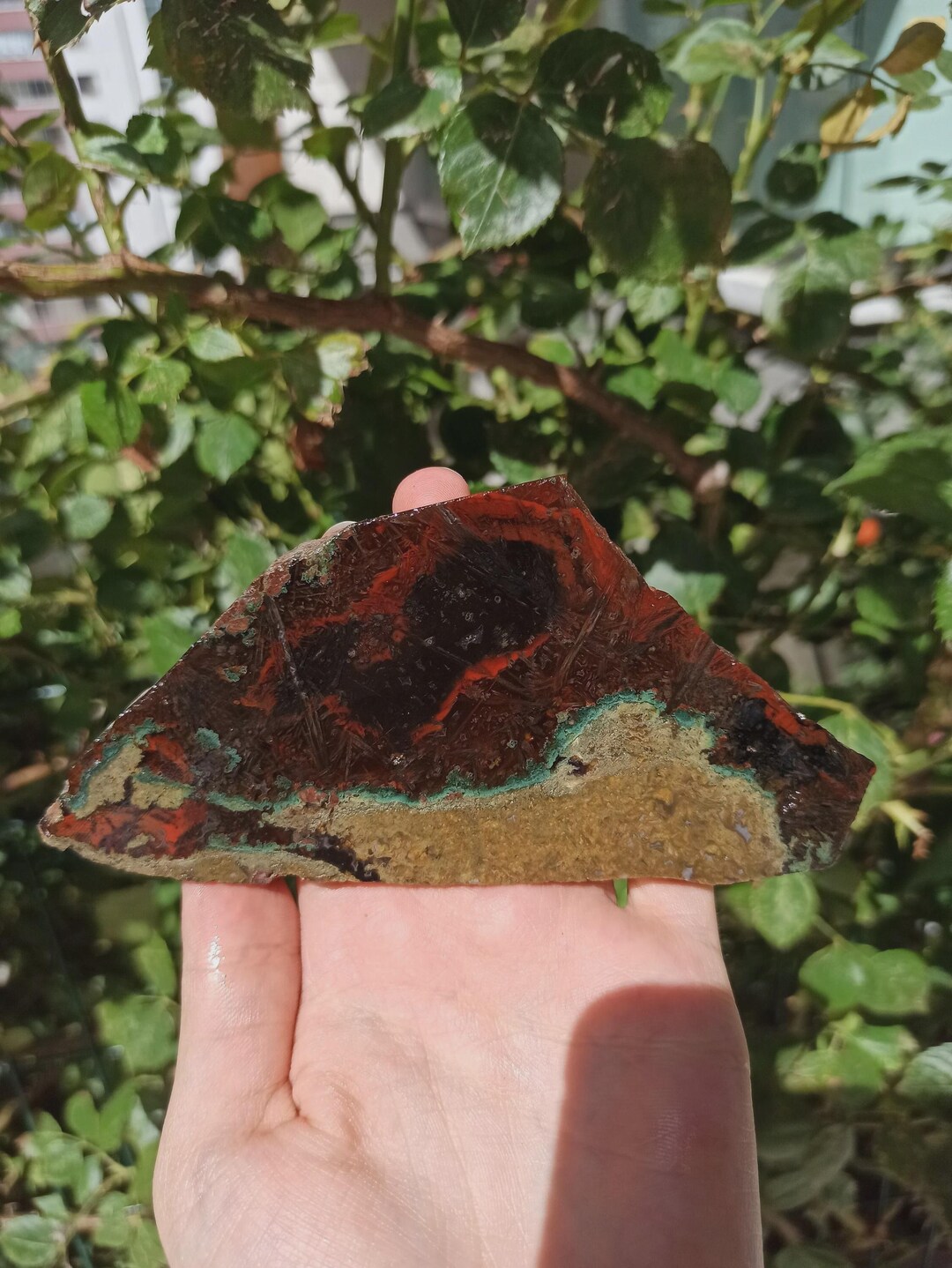 Red Banded and Green Moss Agate Slab, Stick Agate Slabs for Lapidary ...