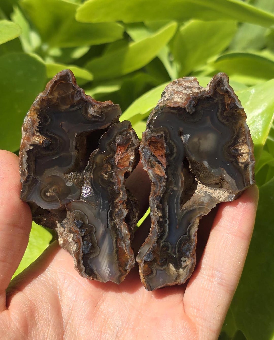 Blue Banded and Botryoidal Geode Agate, Cut and Polished Turkish Agate ...