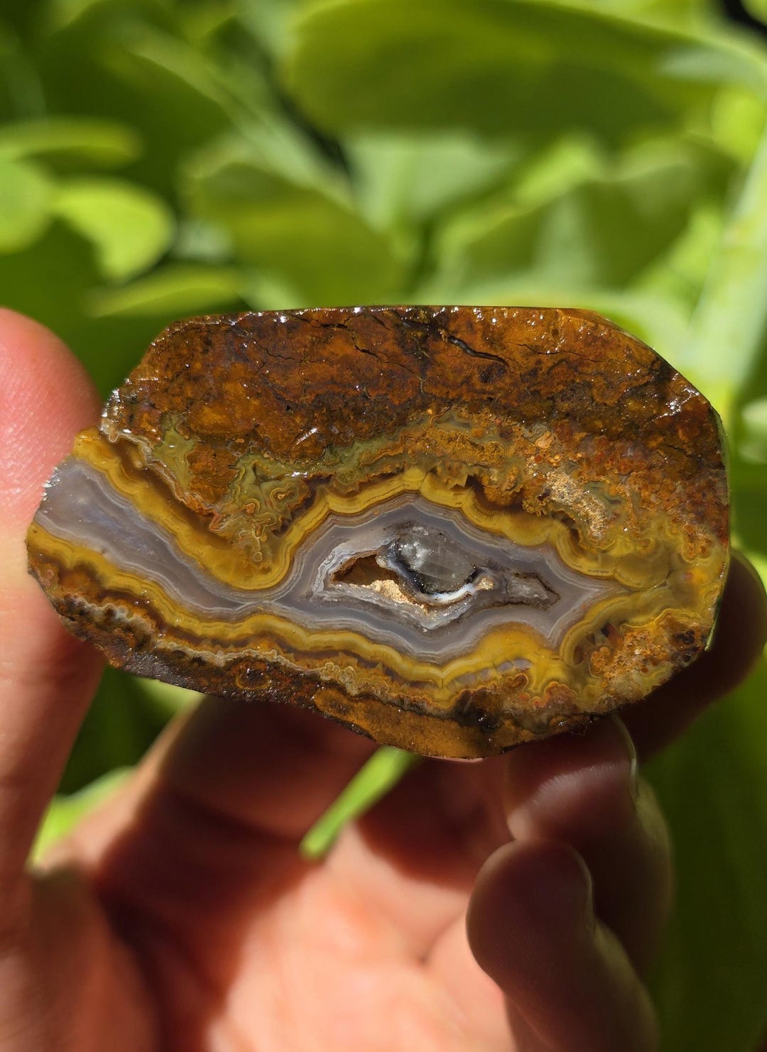 Yellow and Blue Banded and Mini Geode Agate, Cut and Polished Turkish ...