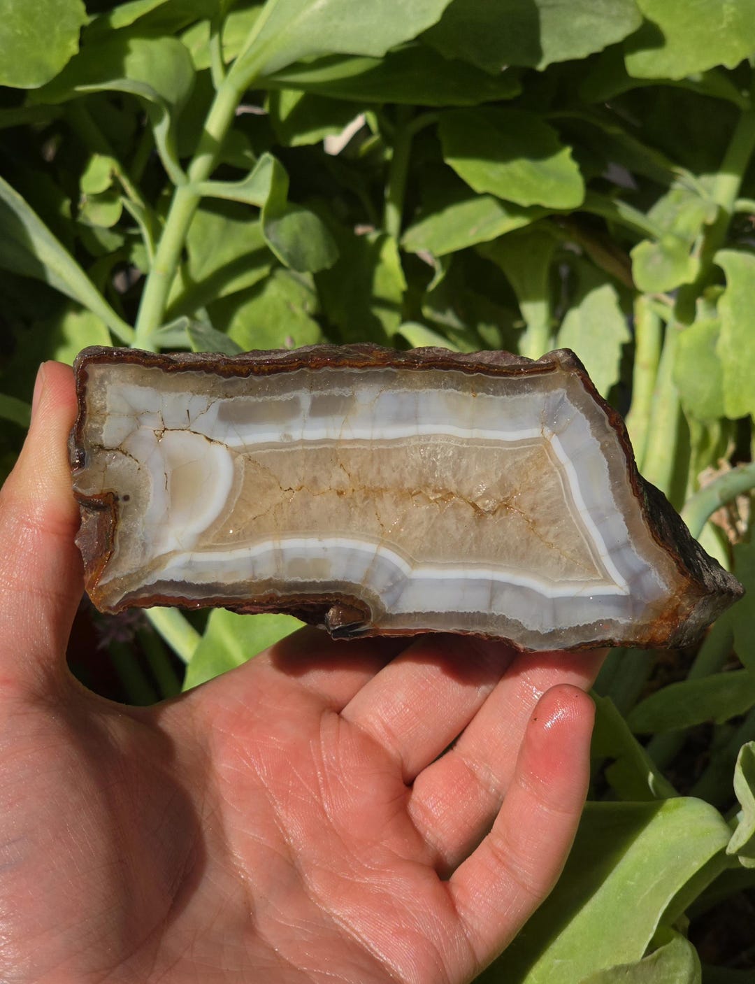 Blue Banded and Crystal Banded Agate, Quartz Agate, Cut and Polished ...
