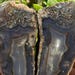 XL Turkish Stick and Banded Agate, Blue and Red Banded Agate, Cut and ...