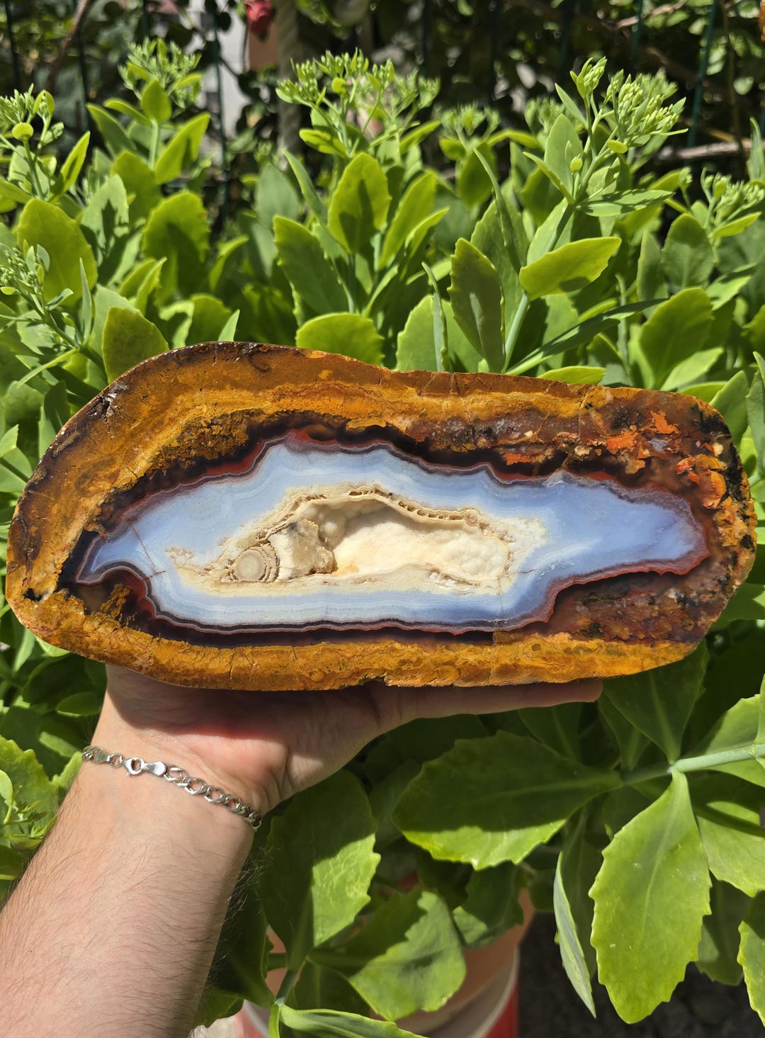 Large Blue and Red Banded and Yellow Moss and Geode Agate, Cut and ...