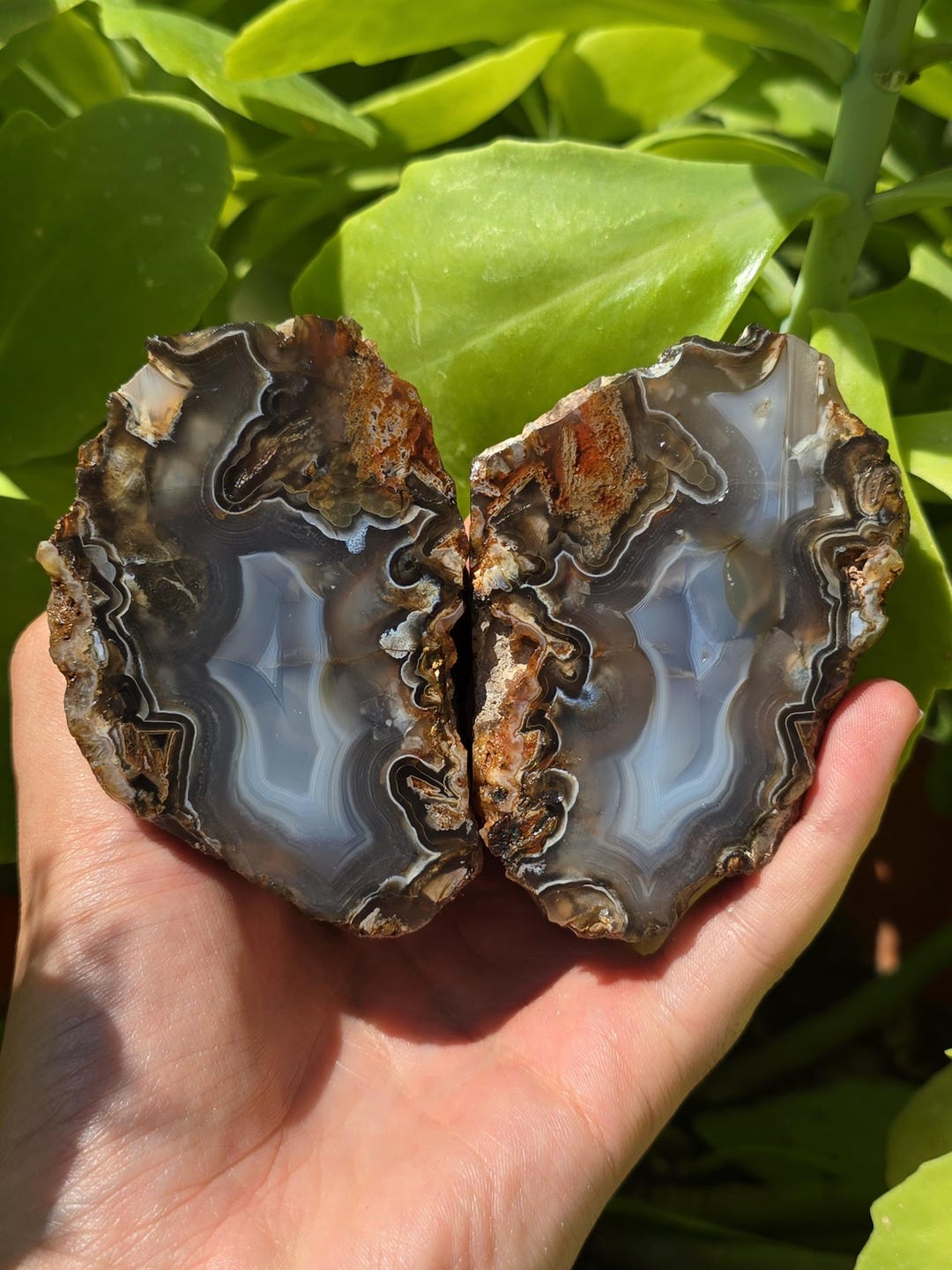 Blue Banded and Crystal Banded Agate, Quartz Agate, Cut and Polished ...