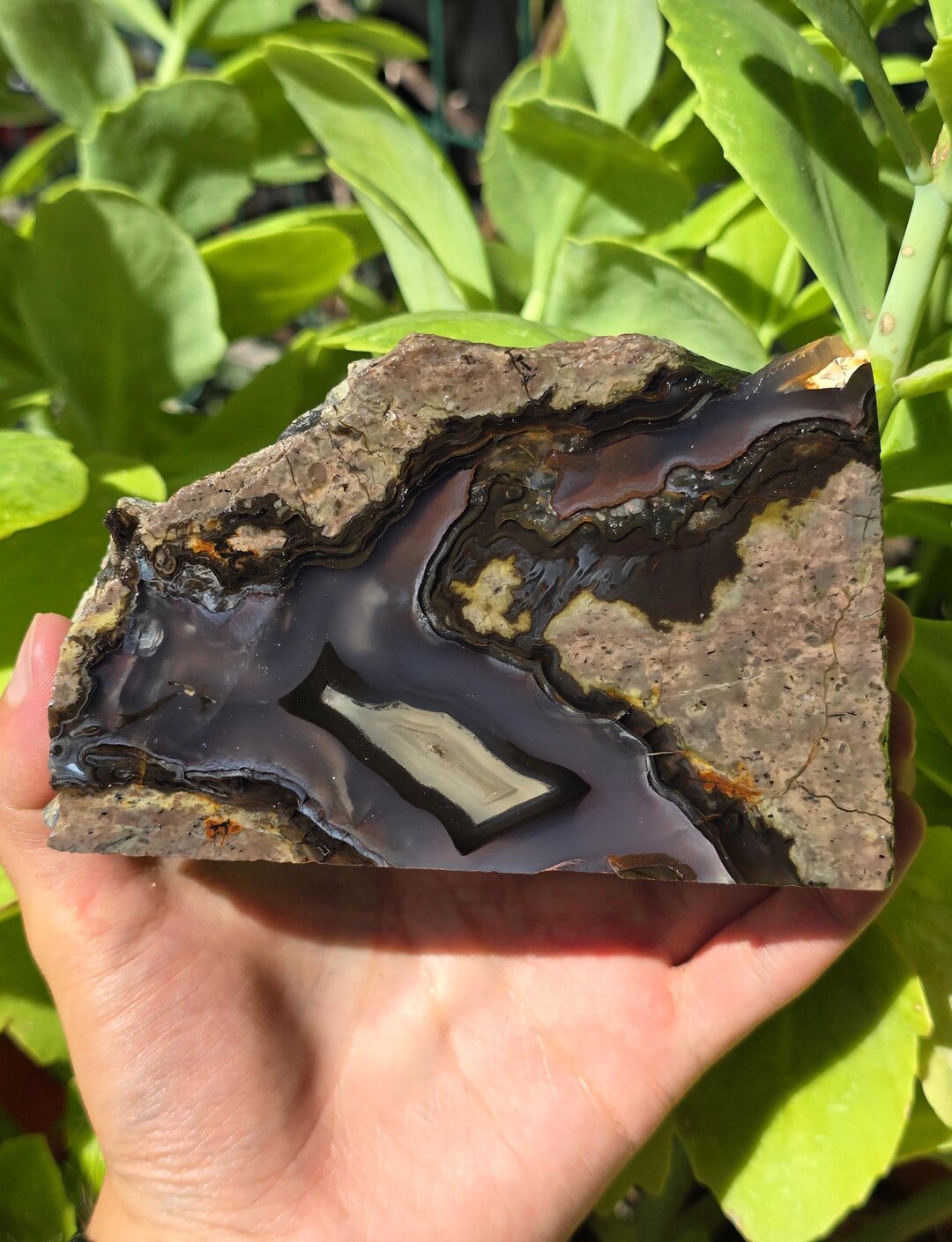 Blue and Gray Banded Agate, Turkish Agate, Cut and Polished Turkish ...