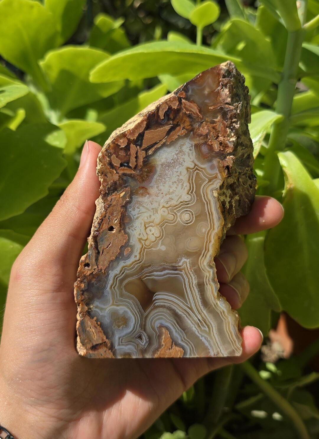 Yellow Crystal Banded and Flower Agate, Quartz Crystal Banded Agate ...