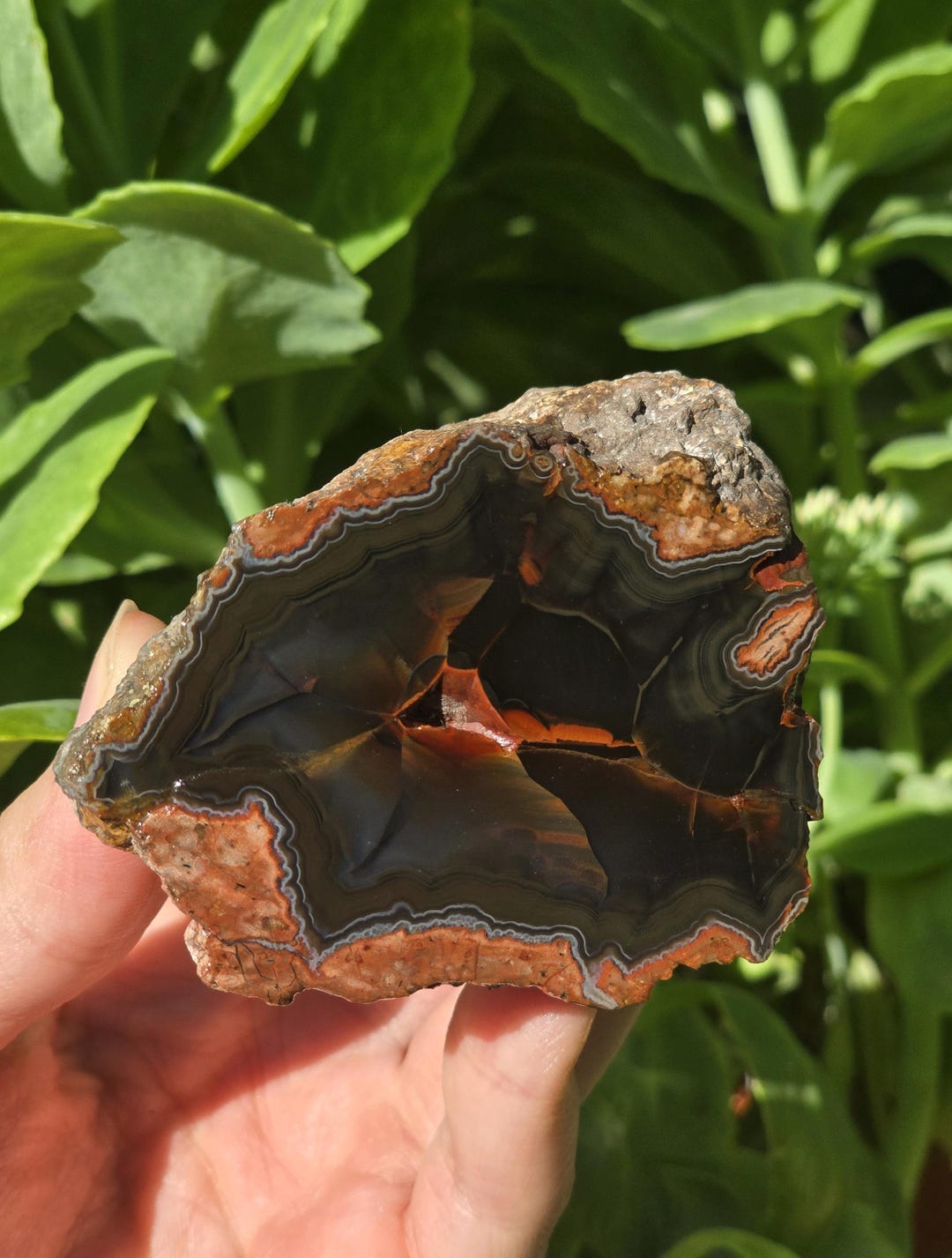 Red Botryoidal and Mini Geode Agate, Cut and Polished Turkish Agate ...