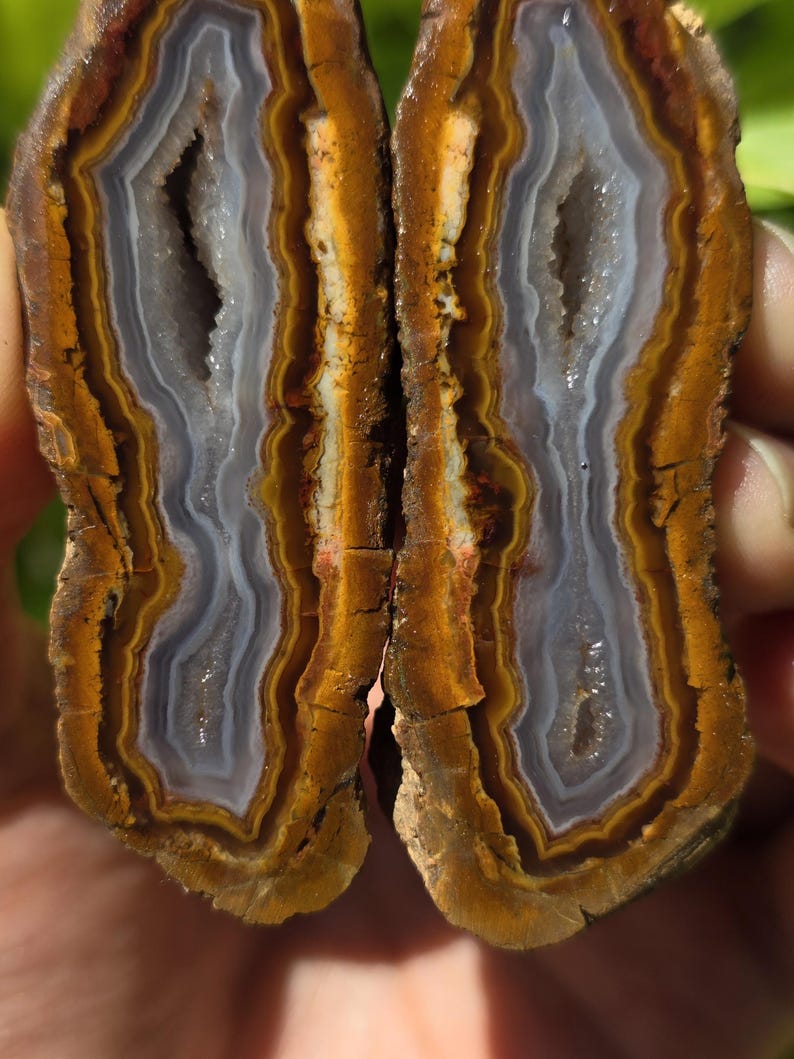 Yellow and Blue Banded and Mini Geode Agate Pair, Cut and Polished ...