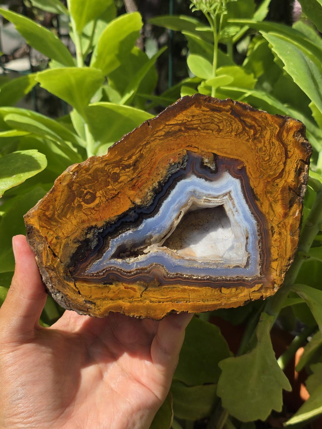 Blue Banded and Geode Agate, Cut and Polished Turkish Agate, Turkey ...