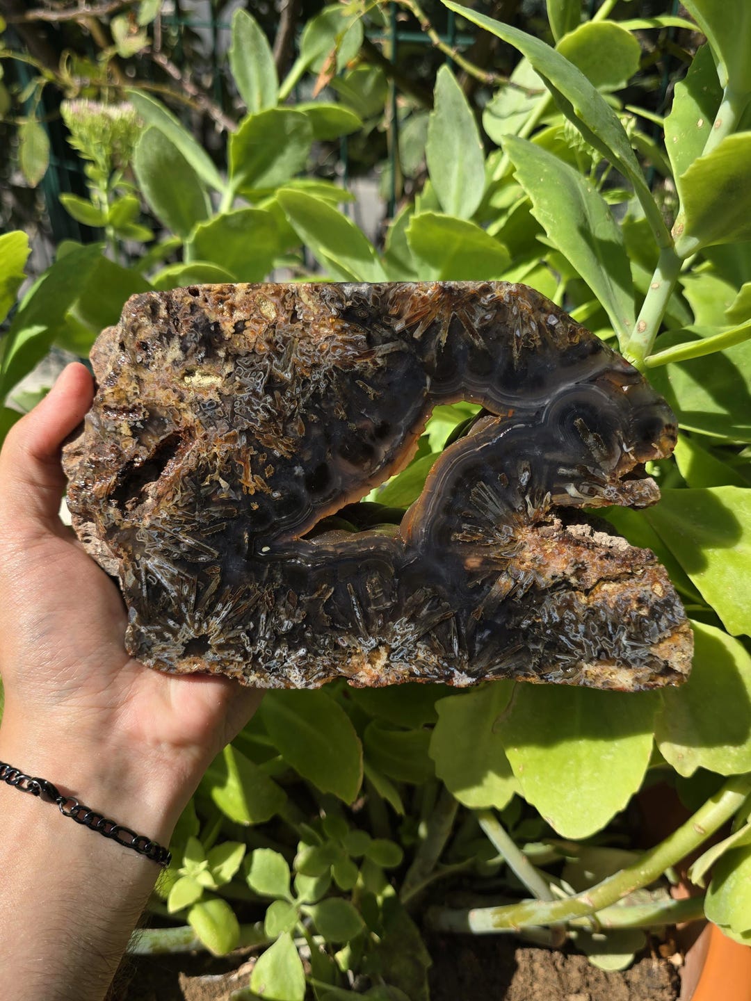 Blue Banded and Botryoidal Geode and Stick Agate, Cut and Polished ...