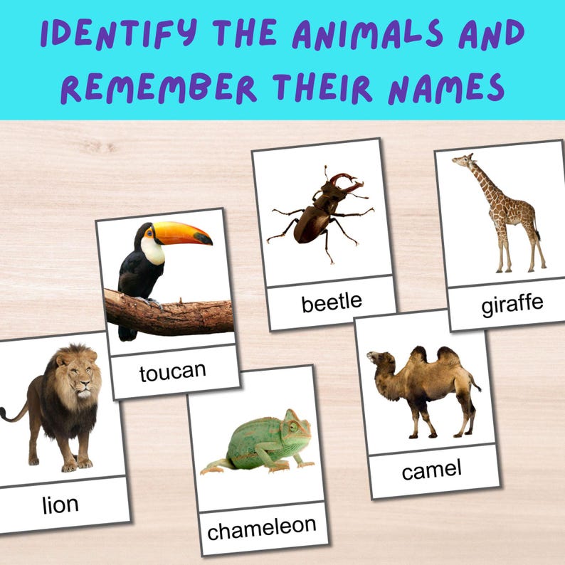 Montessori Animal Cards PDF – Wild Animals + Bingo Game – Preschool ...