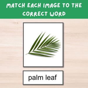 Montessori Leaf Cards PDF | Nature Printable for Kids 3–6 + Bingo Game ...
