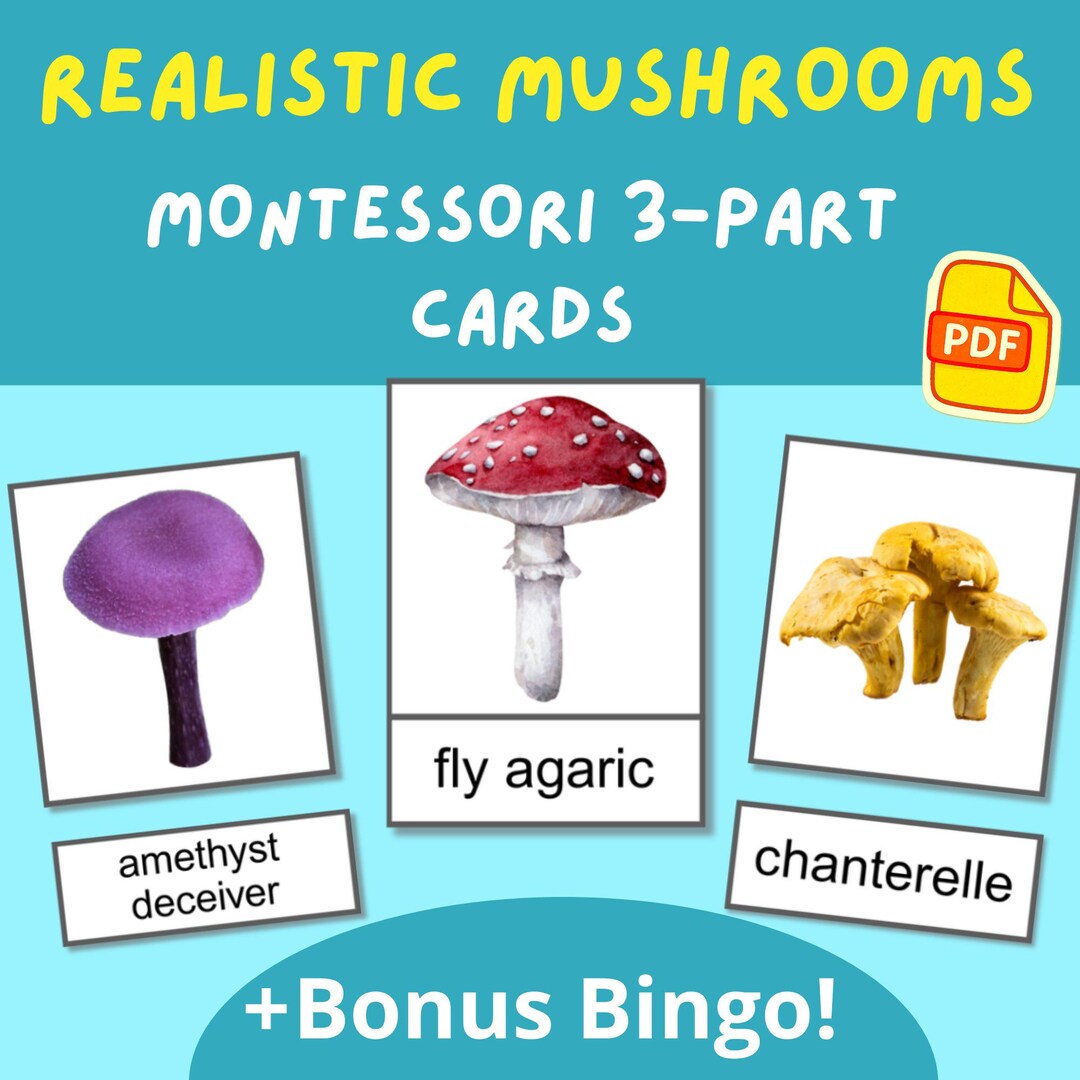 Montessori Mushroom Cards: 3-part Game + Bingo (PDF) - Etsy