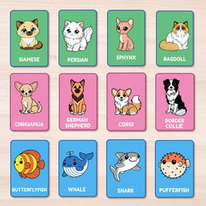 Animal Activity Bundle PDF – 104 Coloring Pages & Flashcards for Kids ...