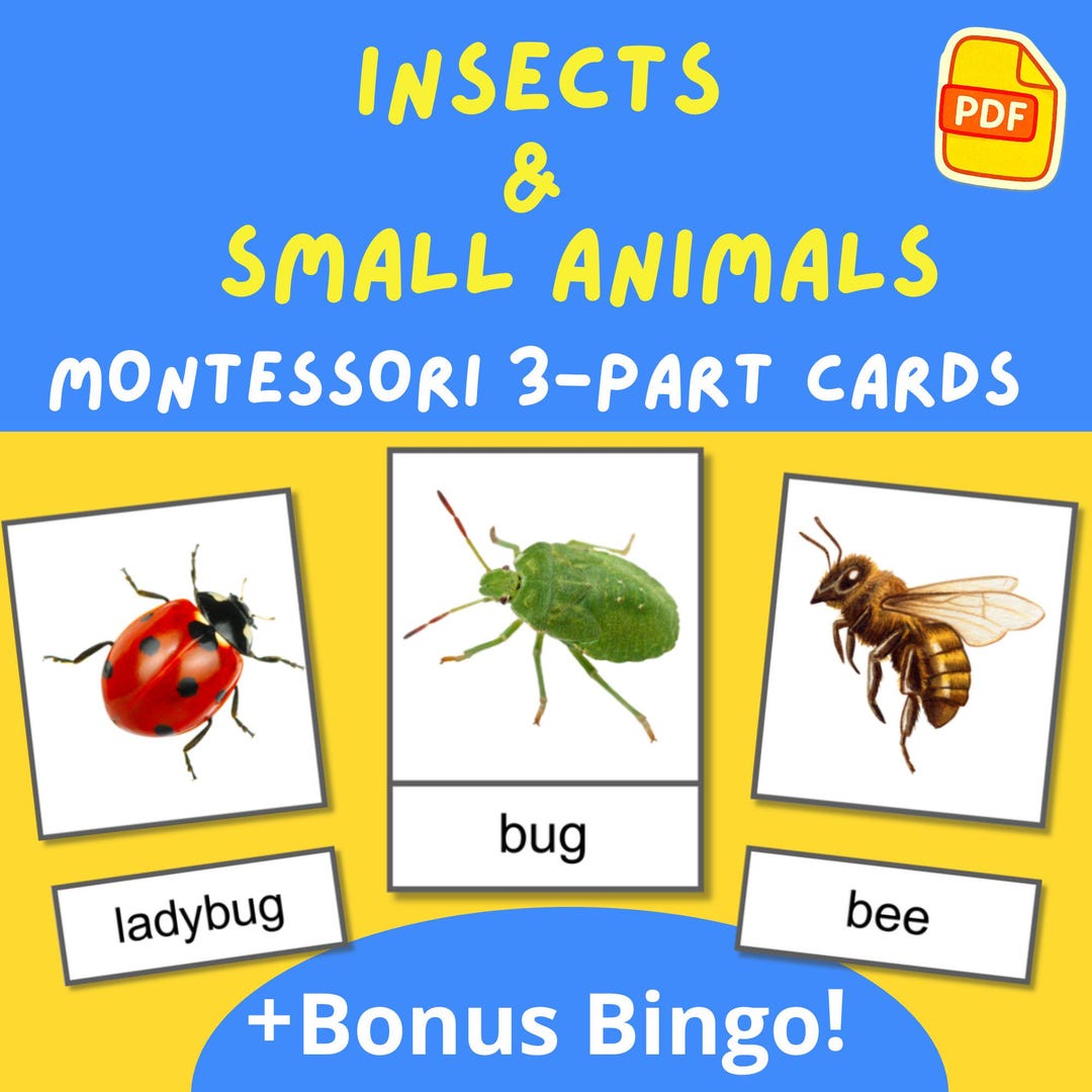 Montessori Insect and Small Animal Cards PDF | 3-part Nomenclature ...
