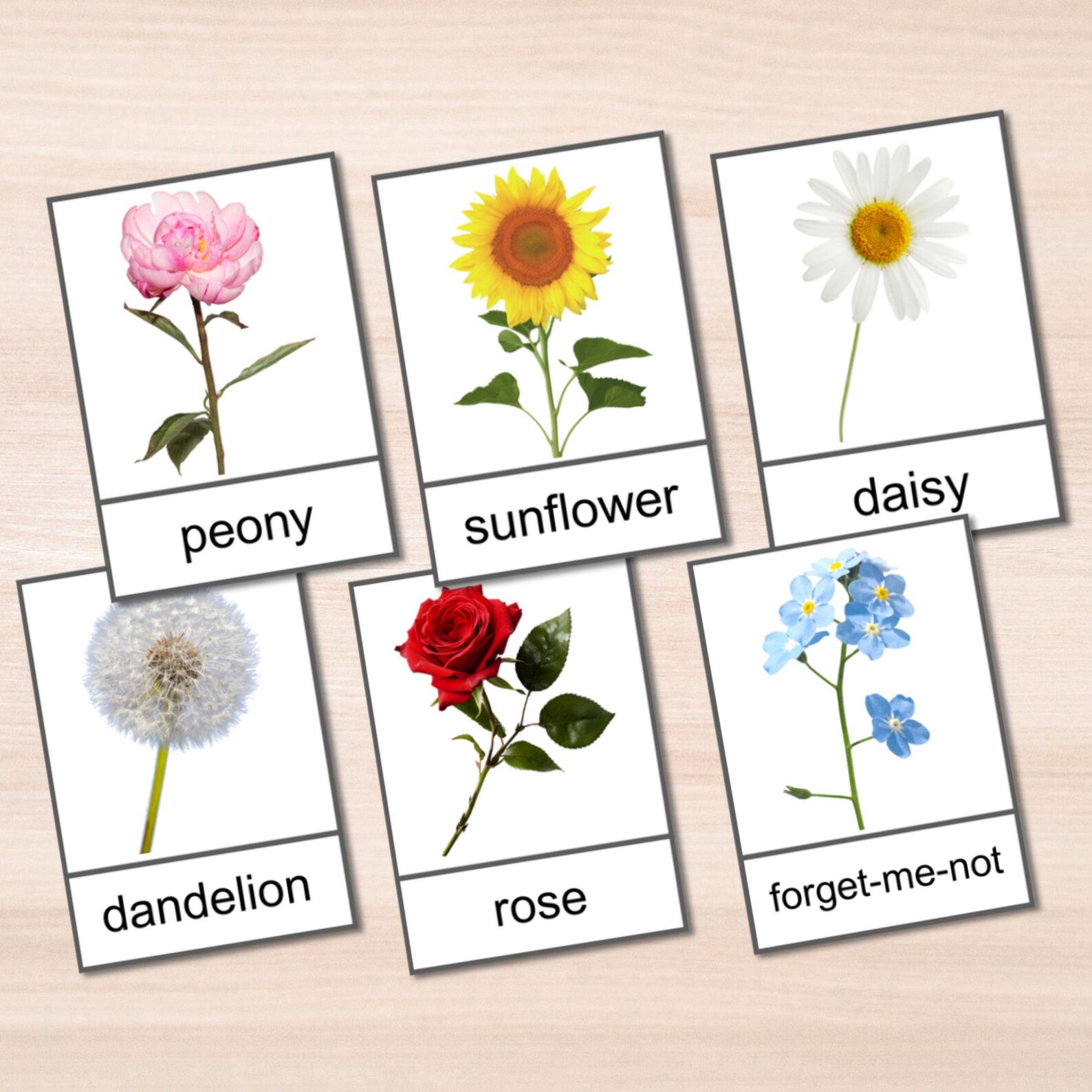 Montessori Flower Cards: 3-part Nomenclature + Bingo Game (PDF) - Etsy