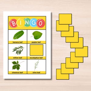 Montessori Leaf Cards PDF | Nature Printable for Kids 3–6 + Bingo Game ...