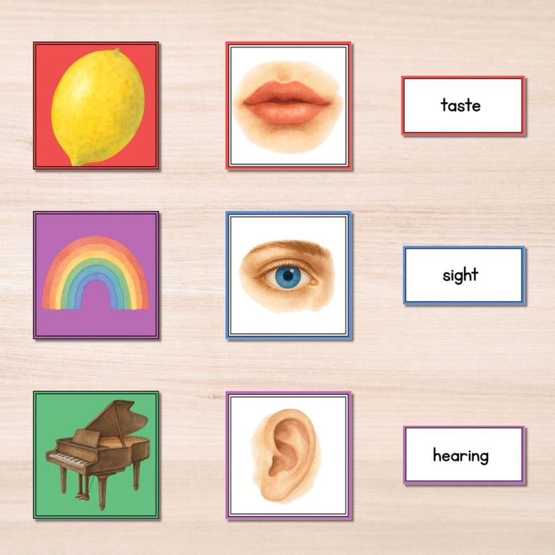 Montessori Five Senses Cards: Watercolor Sensory Learning Game (PDF ...