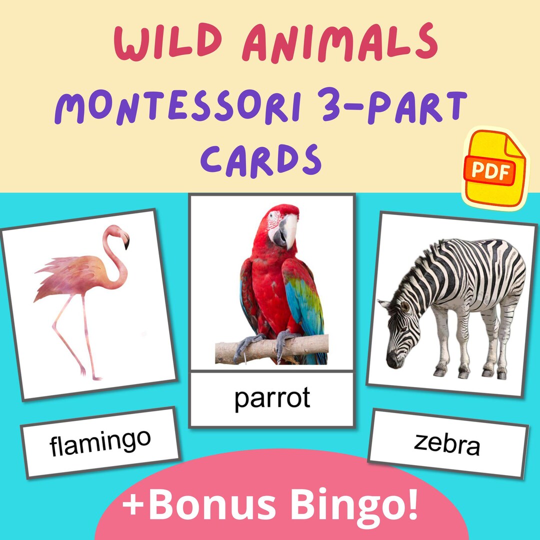 Montessori Animal Cards PDF – Wild Animals + Bingo Game – Preschool ...