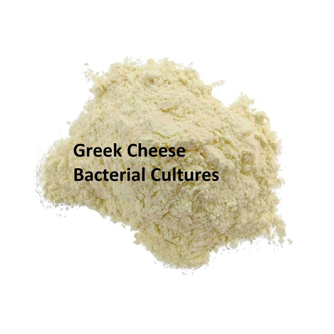 For 50 Litres of Milk DIY Feta Cheese Making – Greek Cheese Bacterial ...