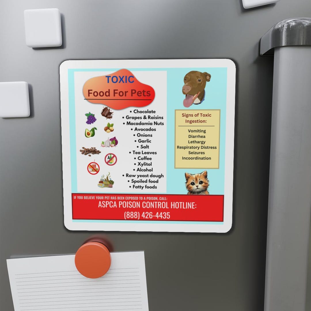 Pet Safety Die-cut Magnets | Toxic Foods for Pets Info, Refrigerator ...