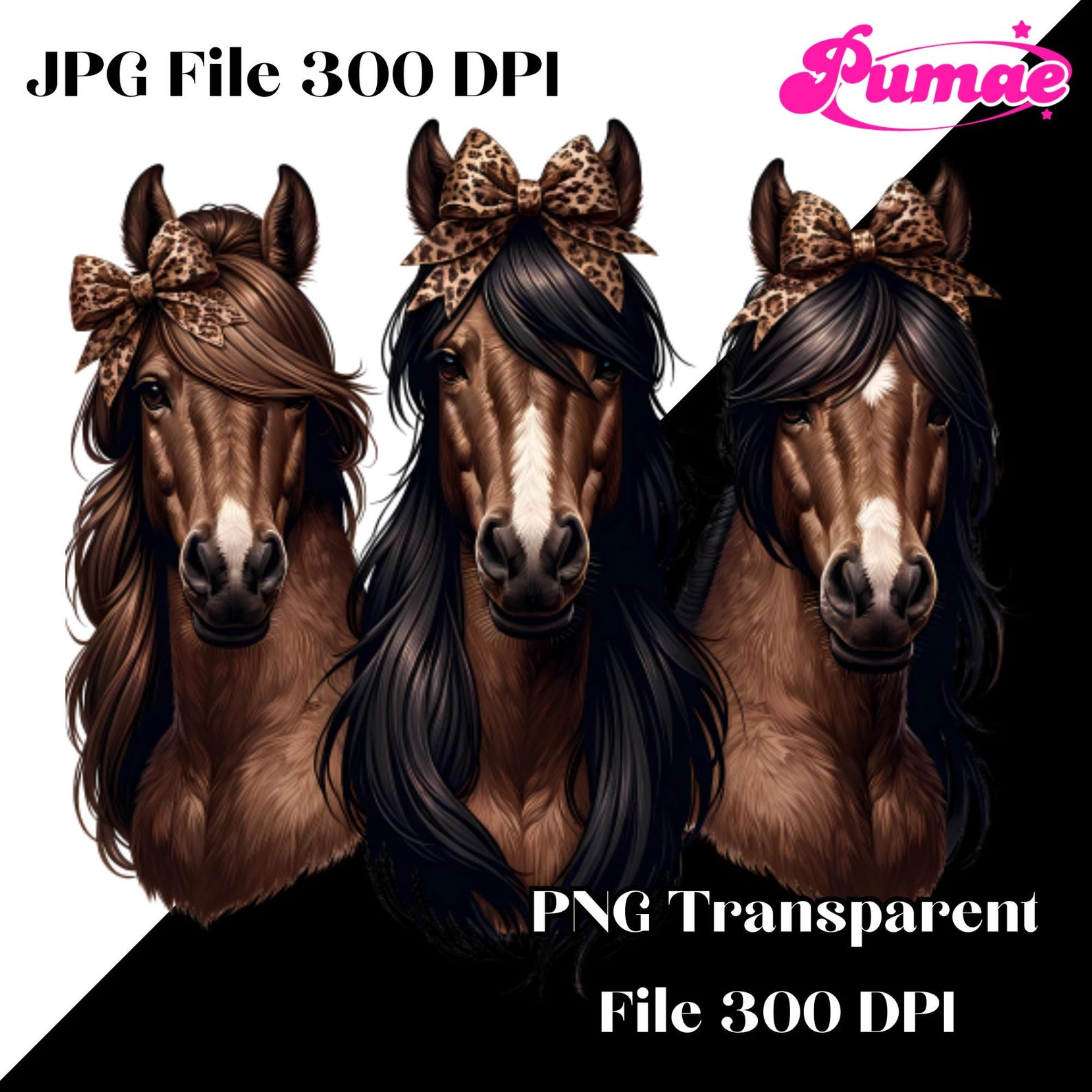 Horse PNG Quarter Horse Clipart Cute Horse Neigh Horse Riding PNG ...