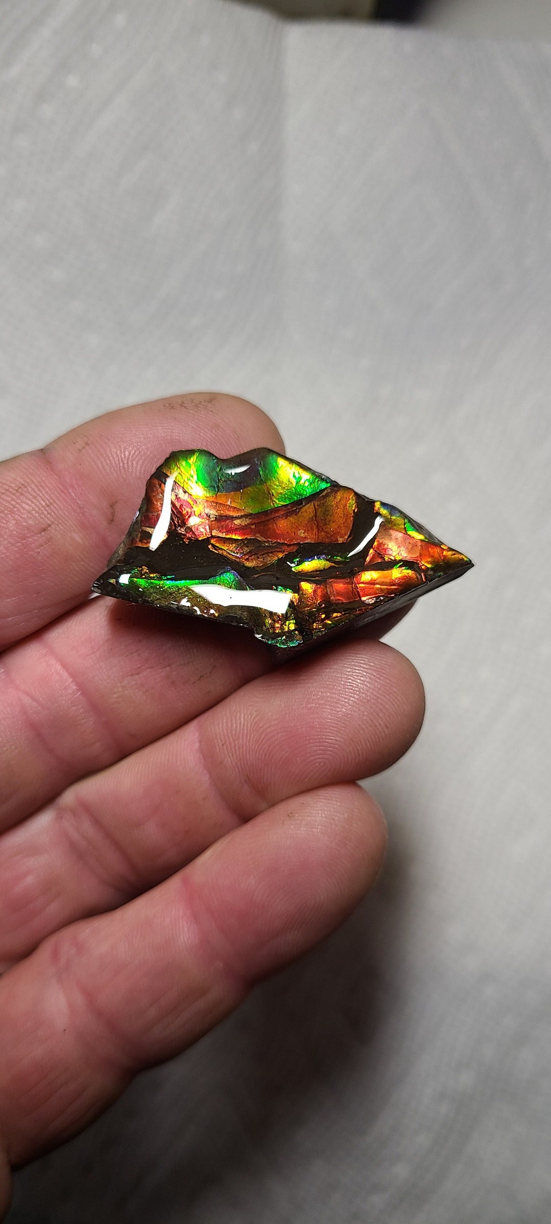 Ammolite Hand Specimen , Ammolite Display , Canadian Ammolite - Etsy