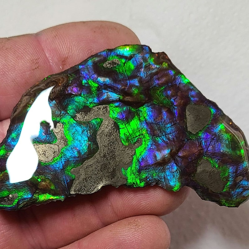 Canadian Ammolite - Etsy