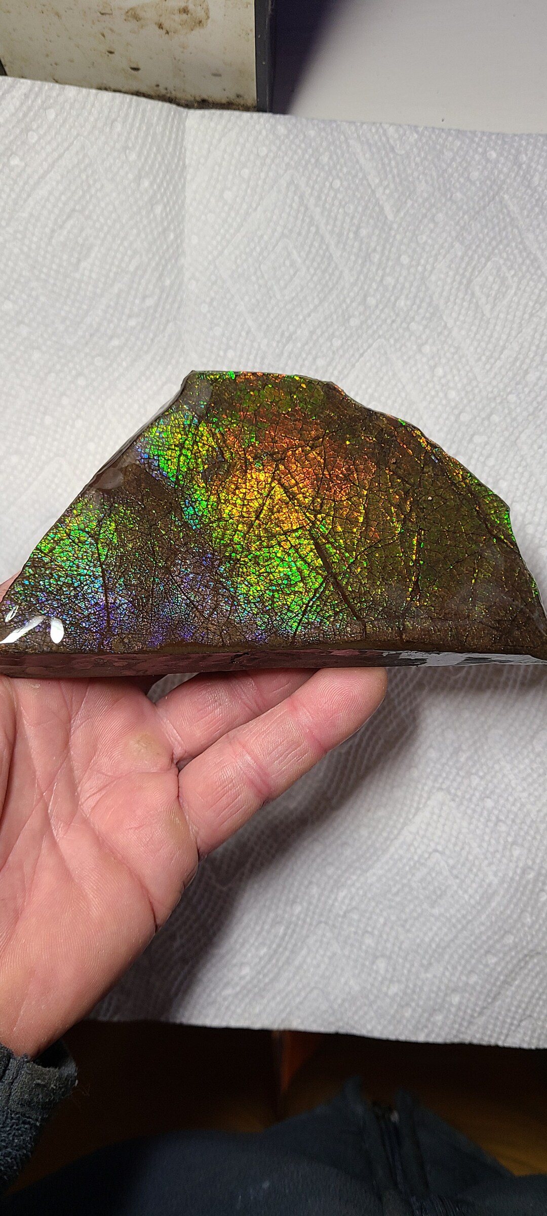 Ammolite Hand Specimen , Ammolite Display , Canadian Ammolite - Etsy