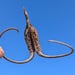 Devils Claw Seed Pods - Etsy
