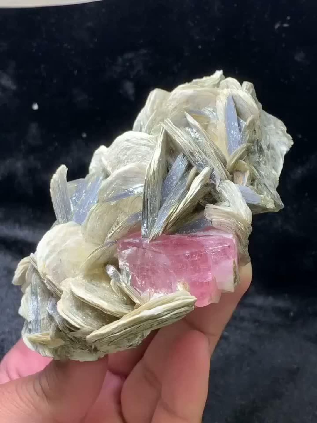 Rare Hot Pink Apatite on Muscovite Matrix - Great Luster, 345 G ...