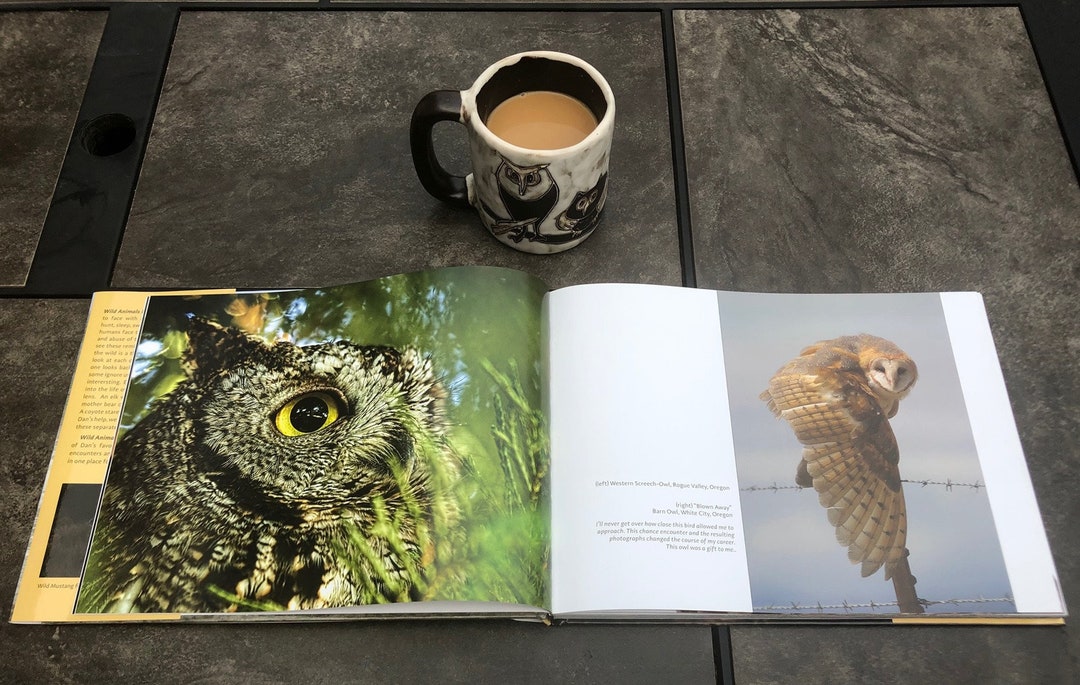 Wildlife Photography Book, Wildlife Gifts, North American Wildlife ...