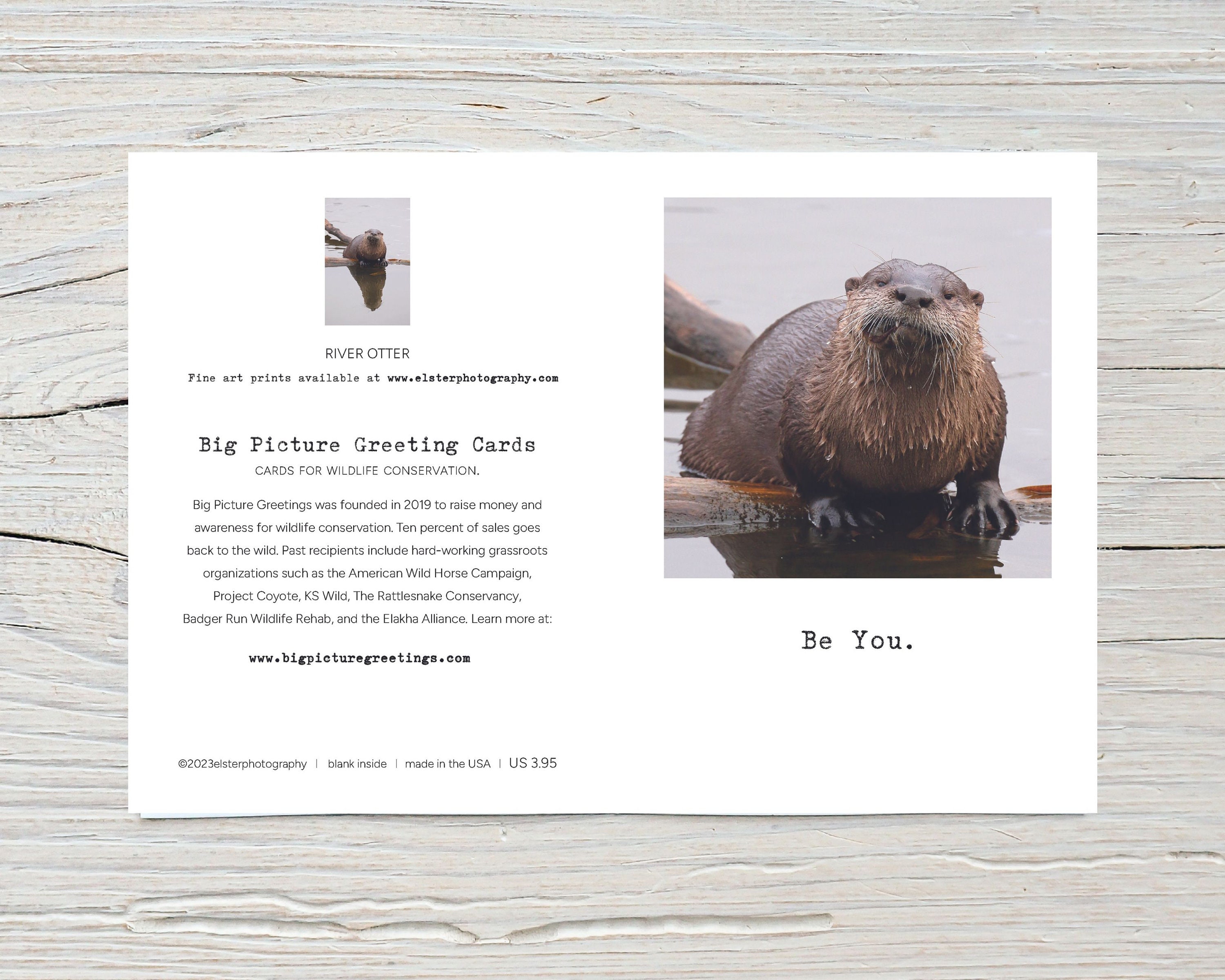 Otter Card, Otter Note Card, Blank Note Card, River Otter Art, Otter ...
