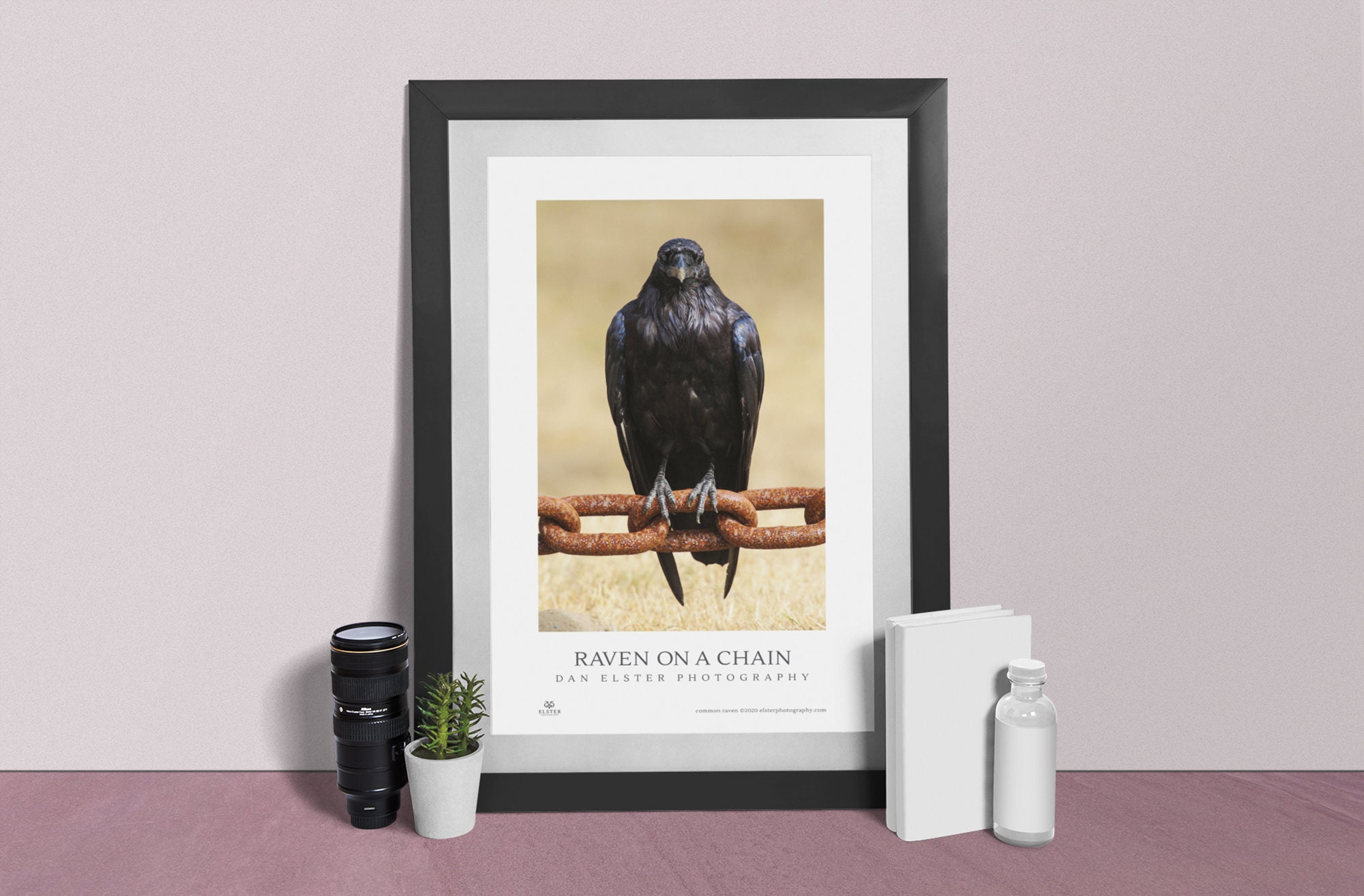 Raven Poster, Raven Wall Art, Wildlife Posters, Wildlife Photography ...